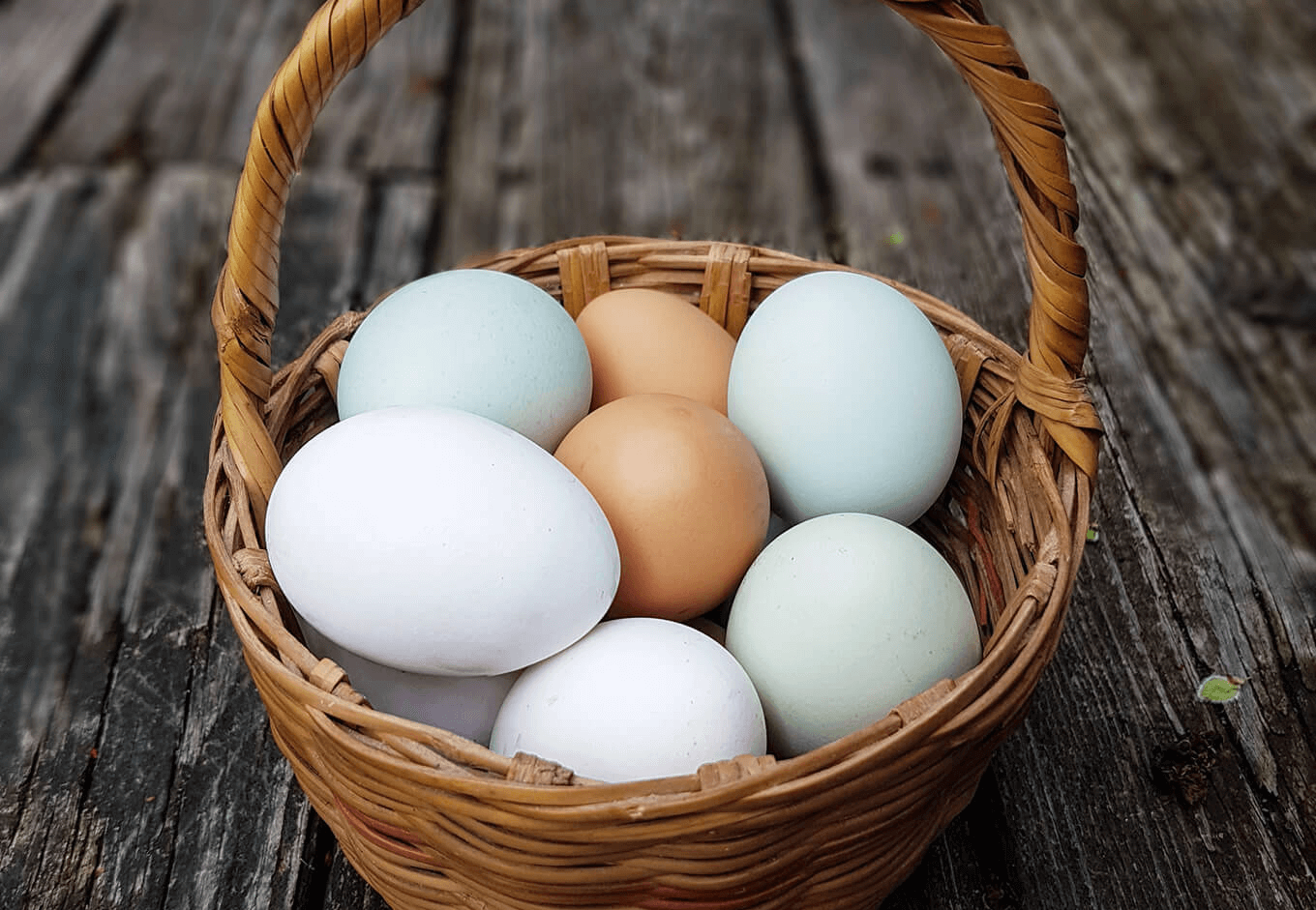 The Chicken Or The Egg Tdd And Automatically Written Unit Tests Diffblue